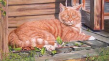 Cat Gallery - Janet Pidoux
